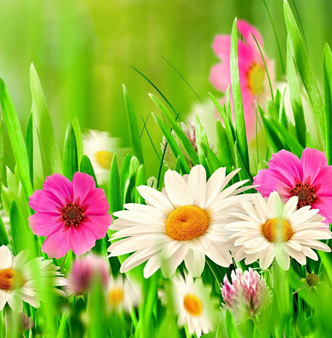 10 Tips for a Trauma-Informed Marriage